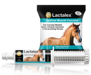 Lactalex - TACOMA VET MEDICATIONS