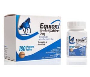 EQUIOXX - TACOMA VET MEDICATIONS